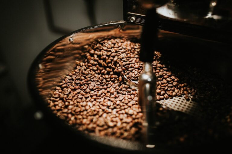 Shade Grown vs. Sun Grown Coffee: Why It Matters For Your Cup – Camano ...